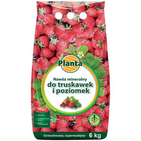 NAWÓZ kg POD TRUSKAWKI POZIOMKI DO TRUSKAWEK POZIOMEK WIELOSKŁADNIKOWY Cena
