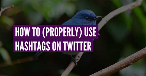 How To Use Hashtags On Twitter For Local Businesses Edmonton Social