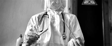 Eliminar Plagas De Carcoma En España Zero Plagas