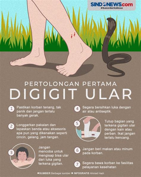 Pencegahan Gigitan Ular Berbisa Kumau Info