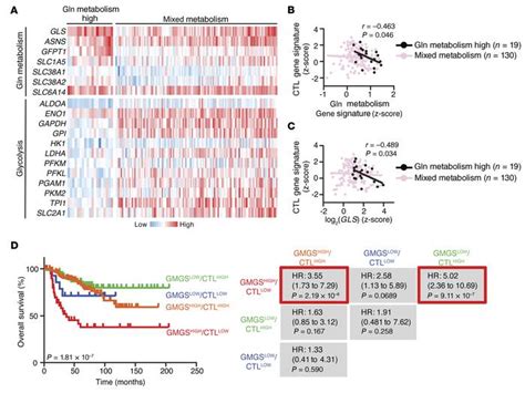 JCI Selective Glutamine Metabolism Inhibition In Tumor Cells Improves Antitumor T Lymphocyte