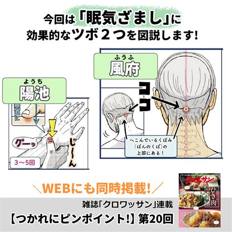 つかれにピンポイント！第20回【眠気覚まし】に効果的なツボ 崎田ミナのモフモフブログ