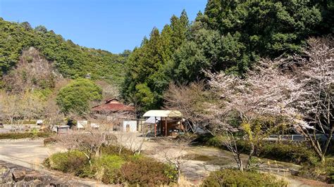 利用案内 田辺川湯キャンプ場