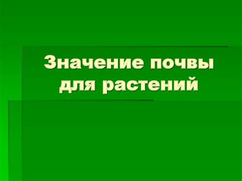 Значение почвы для растений Экологические группы растений по отношению