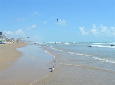 South Padre Island Sights You Dont Want To Miss Your Sassy Self