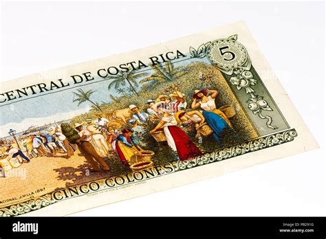 5 Costa Rican Colones Bank Note Colones Is The National Currency Of