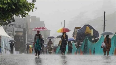 Heavy Rain Continues In Himachal Bbmb Opens Spillway Gates Of Pandoh