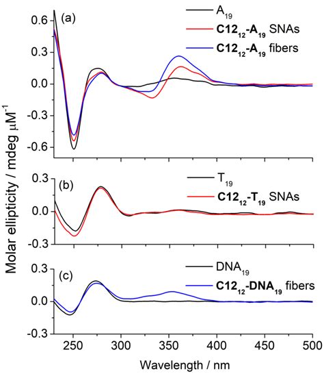 Cd Spectra Of Ssdna And Corresponding Assemblies With C1212 Appended Download Scientific