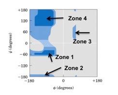 Protein Structure Flashcards Quizlet