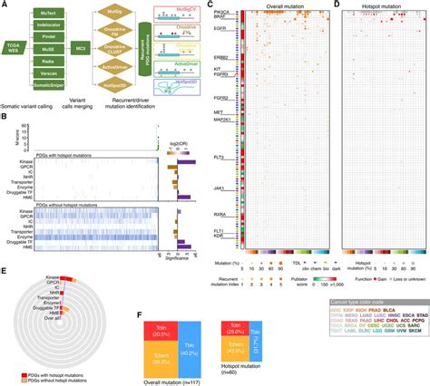 Somatic Mutations Of Pdgs Across Cancers A Workflow Of Mutation