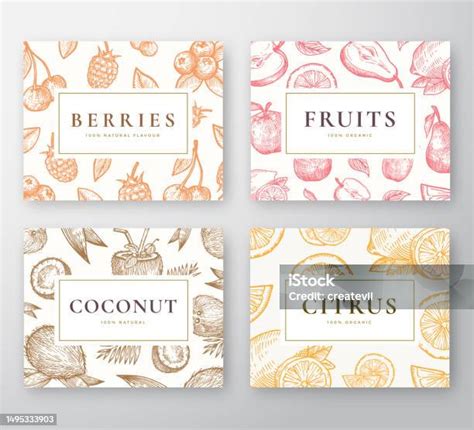 손으로 그린 코코넛 감귤류 딸기 및 과일 카드 세트 Abstract Vector Sketch Backgrounds Collection With Classy Retro