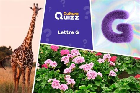 Quiz Sp Cial Lettre G Divers Niveau Moyen Culture Quizz