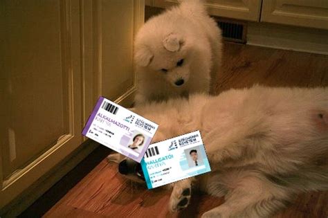 Ros Yolo Model Object Detection Dataset And Pre Trained Model By Myws