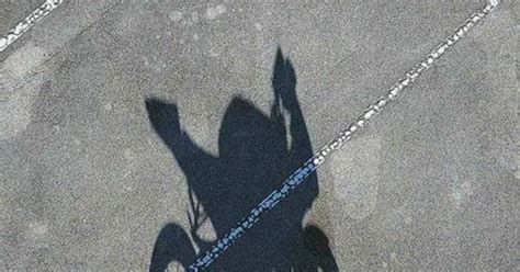 오토바이 카페 금지 짤