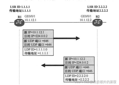 Mpls与ldp协议详解：标签分配与传递 Csdn博客
