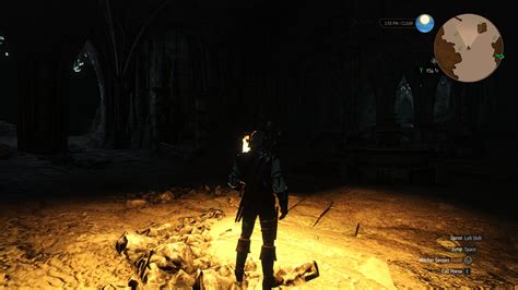 The Witcher 3 Feline Armor How To Get All Cat School Gear Pc Gamer
