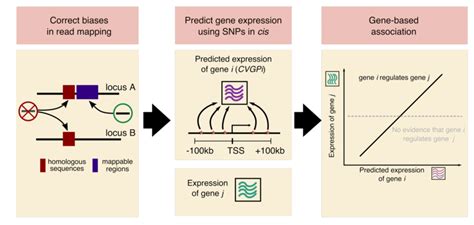 Schematic Of The Gbat Pipeline First Gbat Discards Reads That Are Download Scientific Diagram