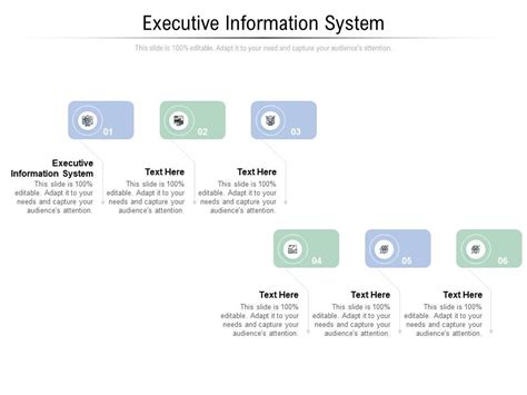 Executive Information System Ppt Powerpoint Presentation Inspiration Clipar