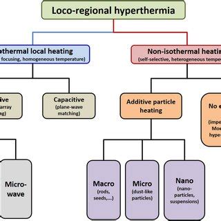 Basic Division Of Loco Regional Hyperthermia Categories 112 There