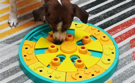 Amazon Petgood 犬 知育玩具 インタラクティブな犬のおもちゃ Iq訓練 嗅覚訓練 早食い防止に ノーズワーク 餌入れ 小中大