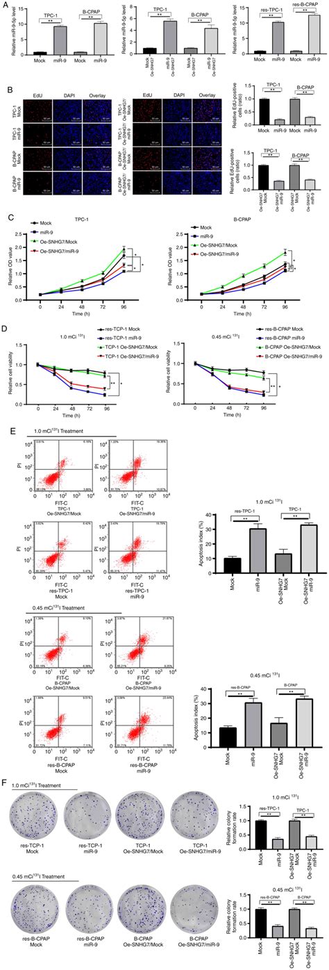 Roles Of The SNHG MicroRNA P DPP CeRNA Network In The Growth And I Resistance Of