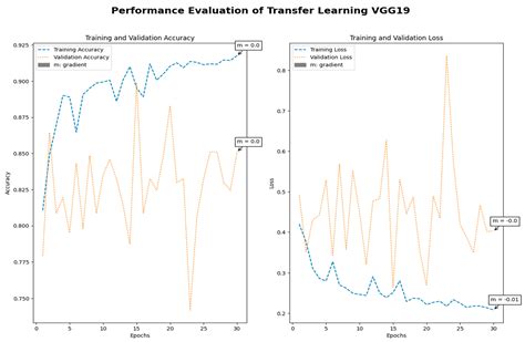 Brain Tumor Detection And Prediction In Mri Images Utilizing A Fine Tuned Transfer Learning
