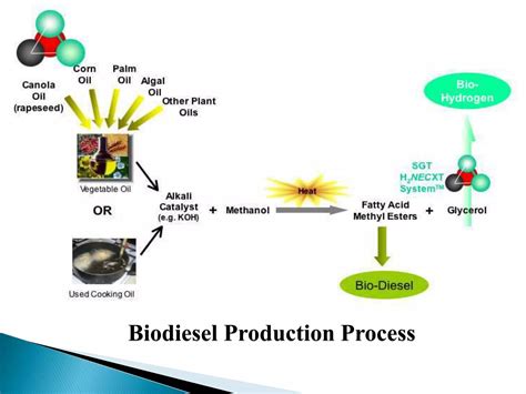 Biodiesel Pptx