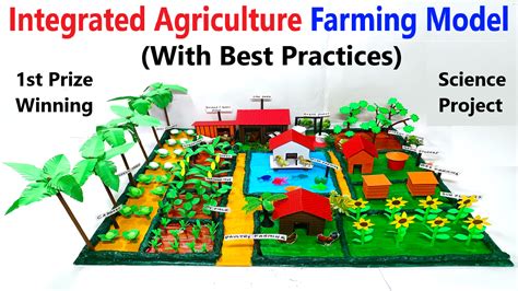 How To Make Integrated Agriculture Farming Model Science Projects Maths Tlm English Tlm