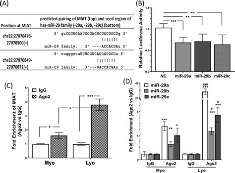 A Sequence Alignment With The Coordinated Positions Of Miat With