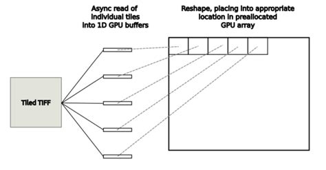 Accelerating Digital Pathology Workflows Using Cucim And Nvidia Gpudirect Storage Nvidia