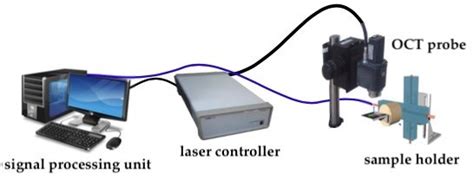Global View Of The Oct Acquisition Setup Download Scientific Diagram