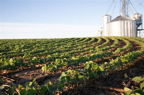 American Soybean Association Asa And Other Leading Industry
