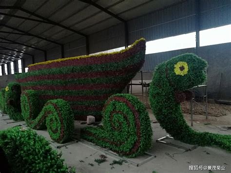 内蒙古巴彦淖尔五色草造型、绿雕造型工程完工 搜狐大视野 搜狐新闻