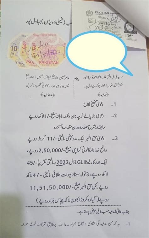 Aamir Liaquats Third Wife Syeda Dania Shah Files For Divorce Incpak