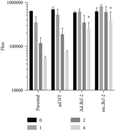 Bioactive Effects Of Bcl 2 Expression In Nscs In Vivo Ac Nsc