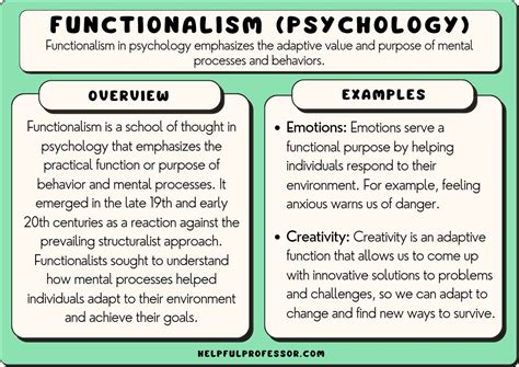 Structural Functionalism Theory Definition Educationpere