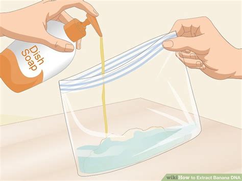 Easy Ways To Extract Banana DNA Steps With Pictures