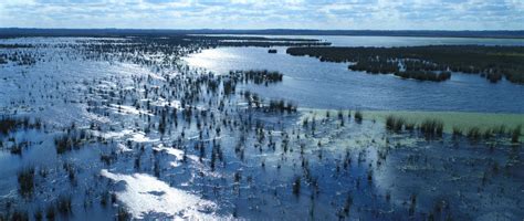 Nahuel Pennisi Y Mariana Baraj Tocarán En Vivo En El Parque Nacional Ciervo De Los Pantanos