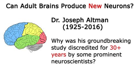 Confirmation Bias Neuromarketing