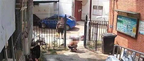 夏季治安打击整治百日行动丨赞和平警方迅速寻回遗失项链 数额较大 女士 物品