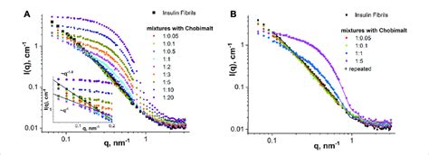 Sans Analysis A Sans Curves Of Insulin Fibrils Formed Alone And In