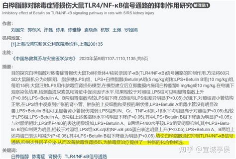 “生命之水”白桦树汁，真的有那么神奇吗？ 知乎