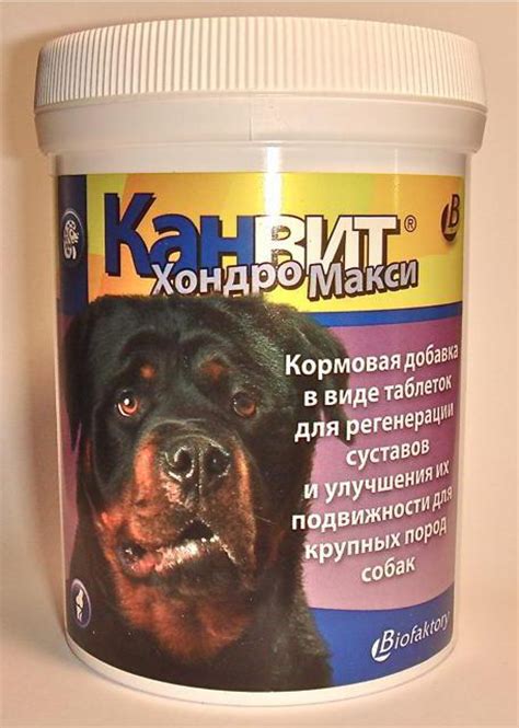 Хондропротектор для собак: классификация, применение, отзывы