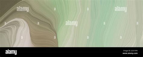 Unobtrusive Header With Elegant Modern Soft Curvy Waves Background Design With Dark Gray Ash