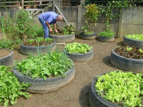 Hota Em Pneus Velhos Tire Garden Garden Soil Raised Garden Beds
