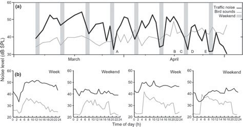 Temporal Patterns In Traffic Noise Levels And Bird Vocal Activity