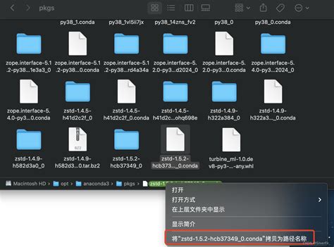 Mac Conda如何安装本地的包，不显示conda图标，pip下载本地安装包时read Time Out等问题mac安装完