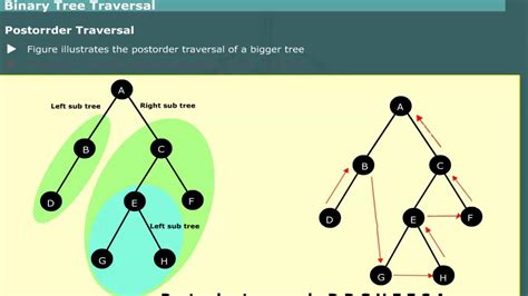 Binary Tree Traversal Preorder Inorder Postorder In Data Structures Youtube