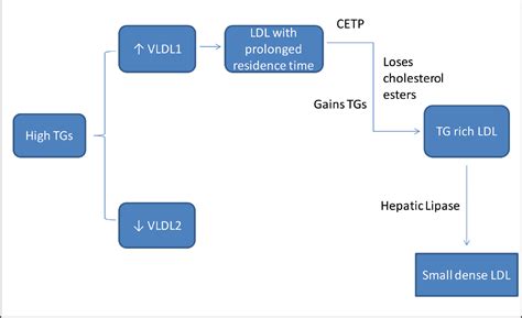 Small Dense Low Density Lipoprotein Biomarker Or Potential Drug Target