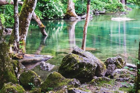 Panoramic View Of Obersee Lake With Clear Green Water And Reflection